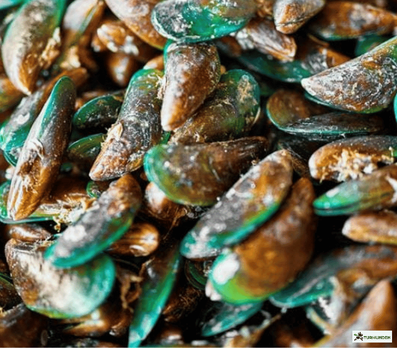 Cooka's Cookies - Grønlæbet Musling - Toppings & Fyld - Turhunden